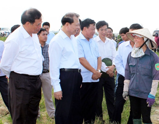 Phó Thủ tướng Chính phủ Vũ Văn Ninh làm việc tại Hải Dương