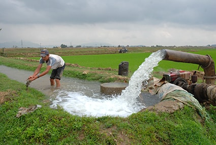 Đủ nước tưới dưỡng lúa xuân