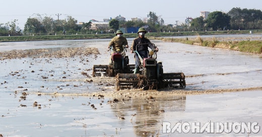 Cày ải nhanh gấp 10 lần cùng kỳ năm trước