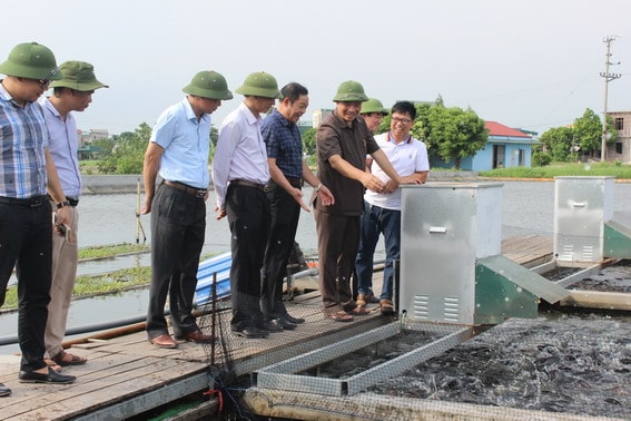 Nhân rộng những mô hình nông nghiệp tiềm năng