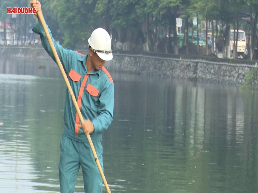 Giúp sông Sặt thêm xanh