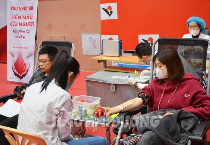 Ngày hội “Hải Dương ngàn trái tim hồng” vận động ít nhất 3.000 ...