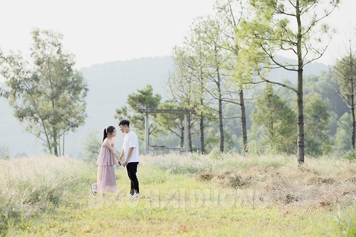 Dreamy pink grass hill in Chi Linh city