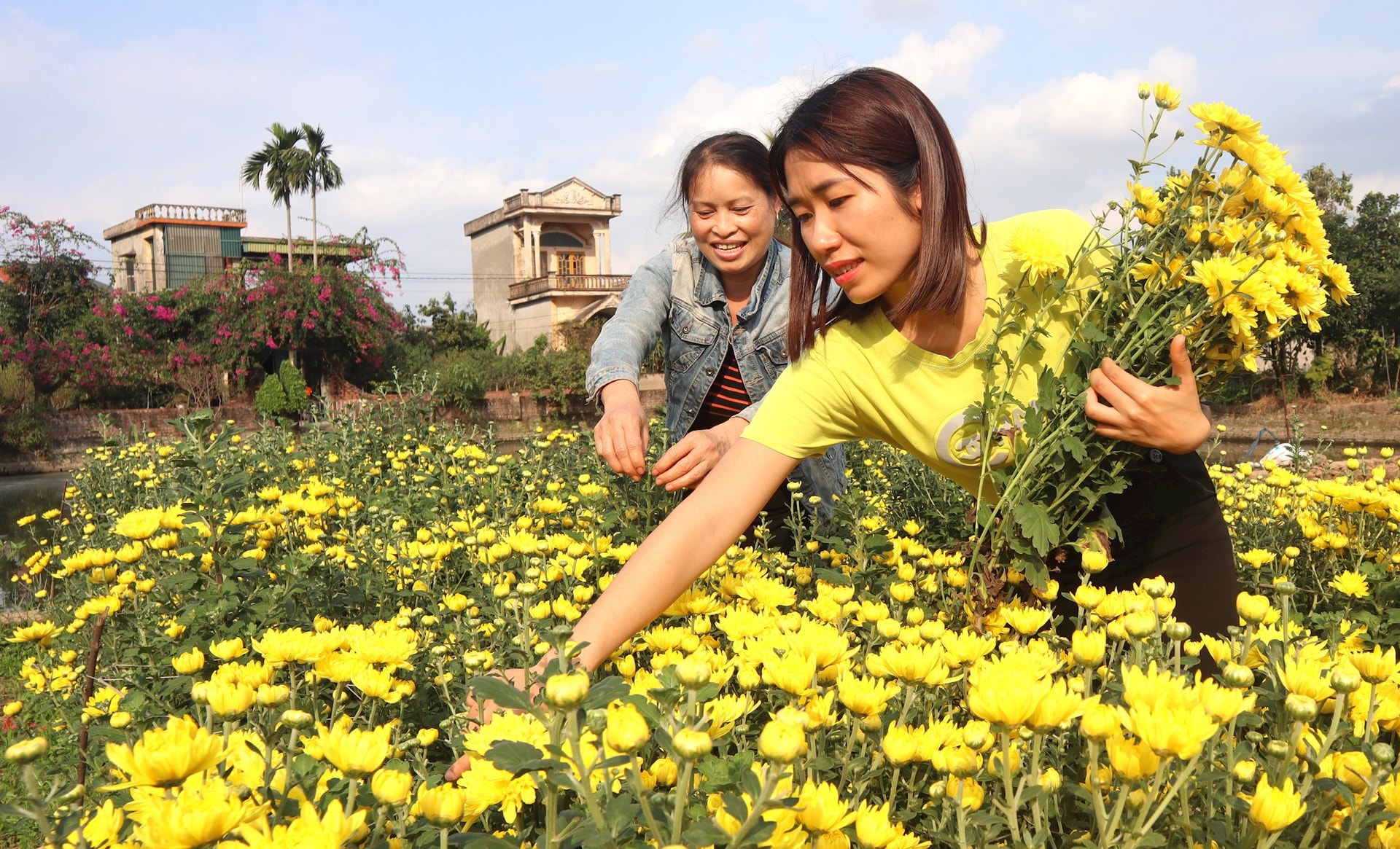 Sowing seeds for happy seasons