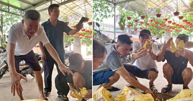 Quả mít "khủng" gần 55 kg ở Hải Dương
