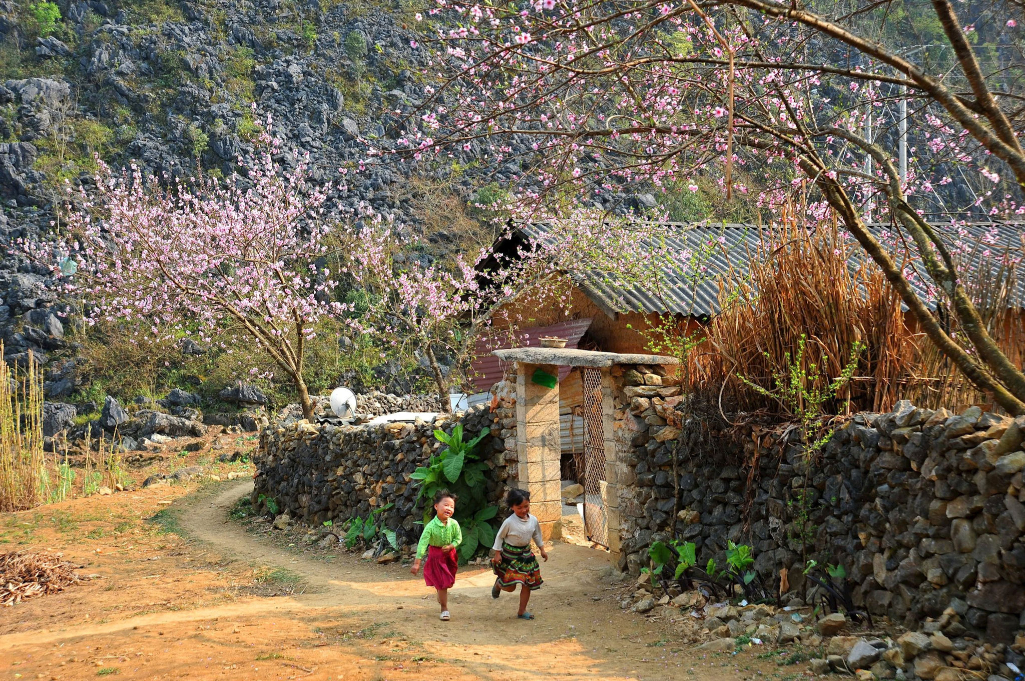 Đón Tết trên những cung đường xuân