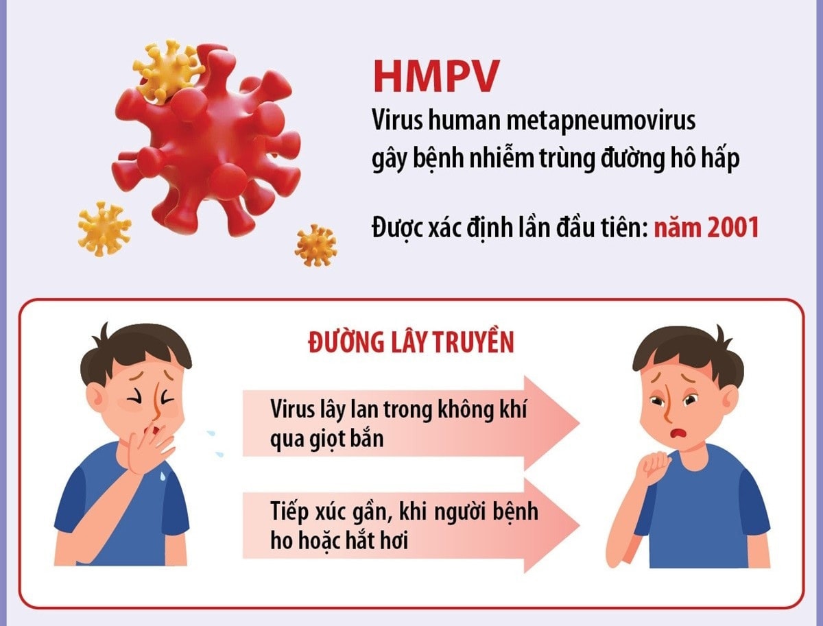Điều trị bệnh đường hô hấp do virus HMPV như thế nào?