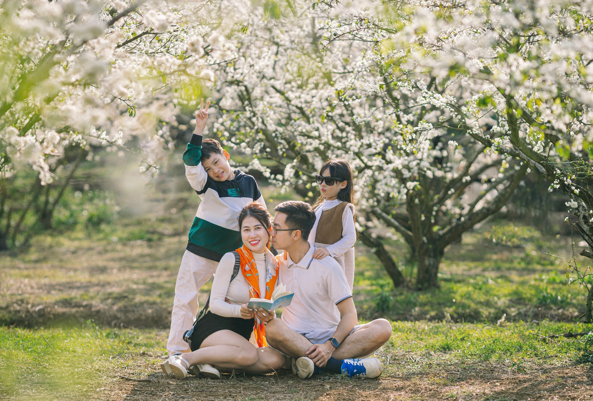 Khách đổ xô đến Mộc Châu sau Tết, cắm trại ngủ đêm giữa vườn mận đẹp ...