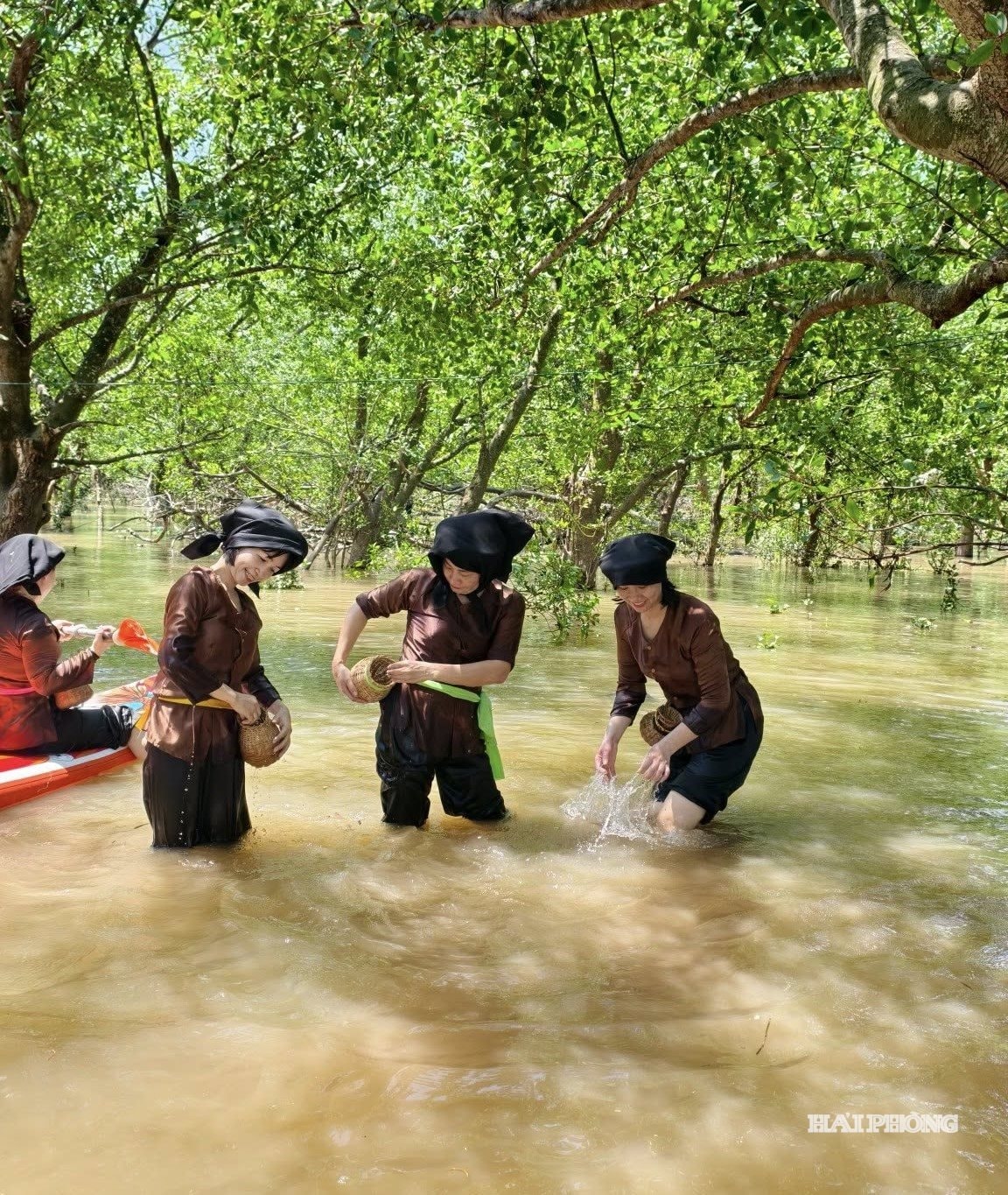 Nét đẹp hoang sơ của rừng ngập mặn Vinh Quang