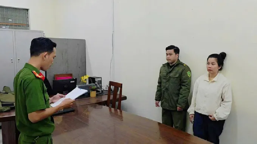 Triệt phá đường dây buôn lậu tôm hùm giống trị giá hơn 6 tỷ đồng